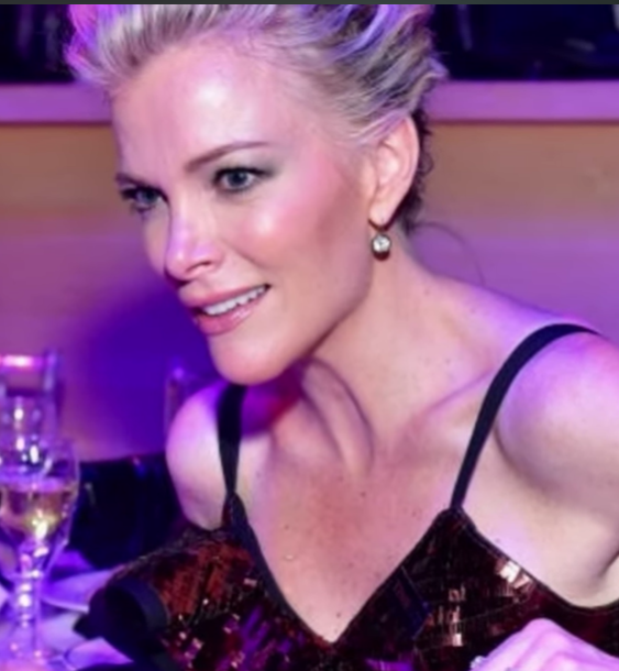 Megyn Kelly White T-Shirt Got Wet And ReveaIed The Brown TlDDlES